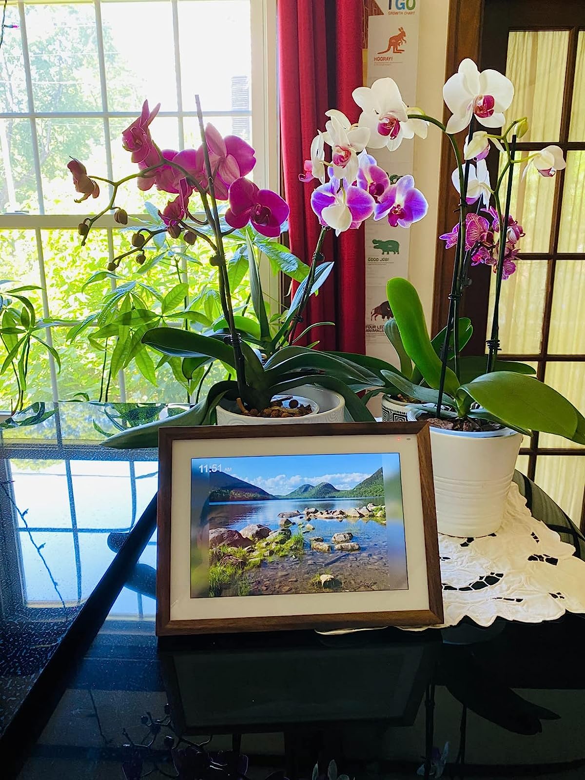 Cozyla: Best Digital Picture Frame To Sync Google Photos iCloud Photos